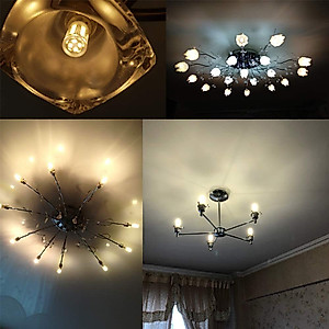 LAOYEBAOHE E14 Cooker Hood Bulbs European Base,Range Hood Light Bulbs AC110V-130V for Refrigerator Cooker Hood Sewing Machine Light (Warm White, 2-Pack)