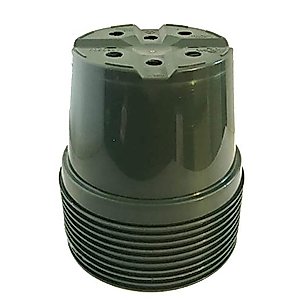 Bert's Garden Green Plastic 5" Starter Pots for Greenhouse Growing or Plant Starting, Also Called, Azalea Pots 10pk