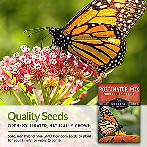 Pollinator Seed Mixture to Attract Monarch Butterflies, Bees & Pollinators - 1 Packet - Milkweed, Garden Flower, & Wildflower Mix for Planting - Support Conservation Efforts - Survival Garden Seeds
