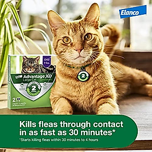 Advantage XD Small Cat Flea Prevention & Treatment For Cats 1.8-9lbs. | 1-Topical Dose, 2-Months of Protection Per Dose