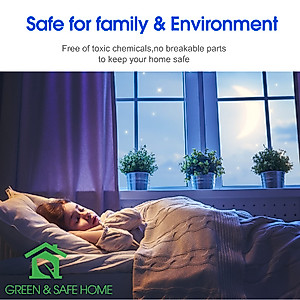 E ENERGETIC LIGHTING A19 Daylight LED Bulbs, 8.5W Llight Bulbs 60 Watt Equivalent, Non-dimmable, 6 Packs