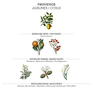 Panier des Sens - Marseille Liquid Hand Soap - Provence Hand Wash - Moisturizing Soap with Coconut Oil - Bathroom & Kitchen Refillable Soap - 97% Natural Ingredients Made in France - 16.9 Fl.oz