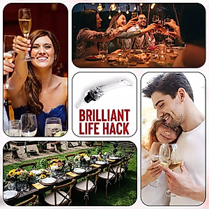 Skyway Wine Aerator Pourer Spout Premium Professional Quality - Instant Aerating No Spill Drip Spout - Enhanced Rich Finish and Improved Flavor - Fits Any Wine Bottle