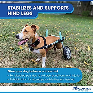 Dachshund Wheelchair - for Small Dogs 2-30+ Pounds - Veterinarian Approved - Dog Wheelchair for Back Legs