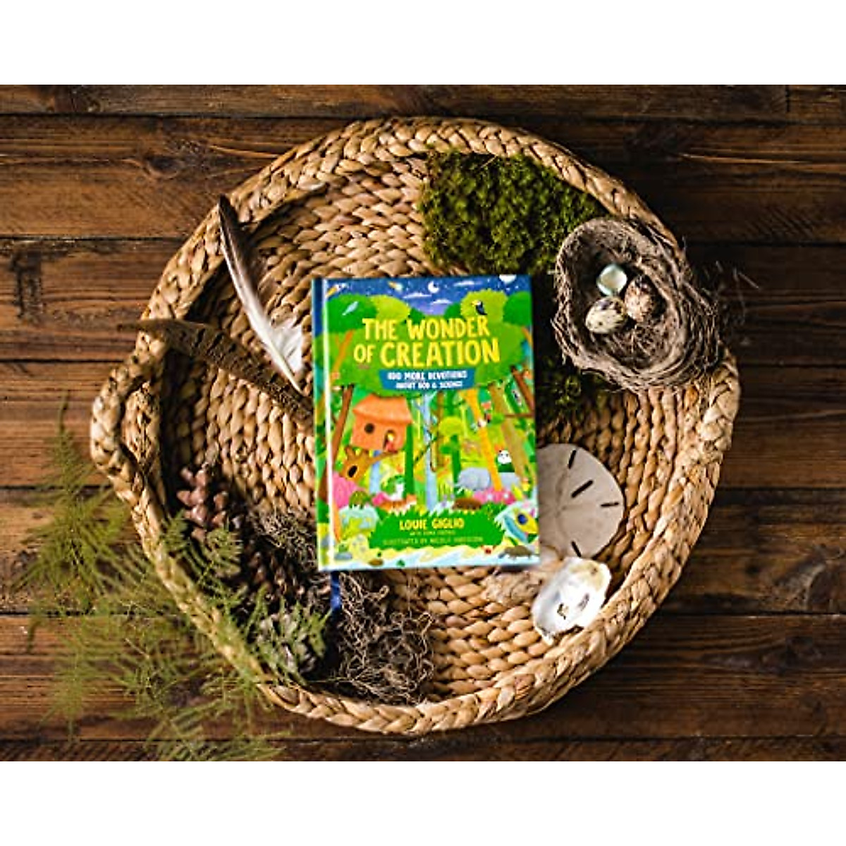 The Wonder of Creation: 100 More Devotions About God and Science (Indescribable Kids)