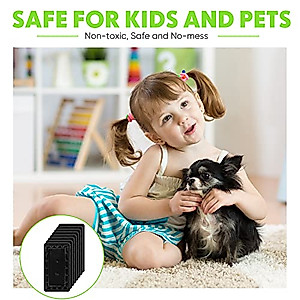 30 Pcs Sticky Mouse Trap Glue Traps for Rats and Snakes Rat Traps Indoor Baited Mouse Trap Adhesive Glue Traps for Mice and Rats Non Toxic Baited Trays for Indoor Outdoor Mice Rats Snake Rodent