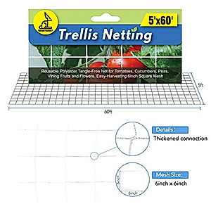 SKINNYBUNNY 5x60ft Trellis Netting, Durable Garden Grow Netting, Heavy-Duty Nylon String Net, Designed for Climbing Vining Plants, Fruits and Vegetables, Hydroponics, Fit in All-Weather, 1-Pack