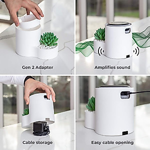 HAUS BRIGHT Echo Dot Holder | Google Mini Stand | 2nd/3rd Generation | Smart Accessories Cover Case | Clear Speaker, Mic, Lighting | Multi-Functional Planter, Money, Keys, Candy, Ring Dish