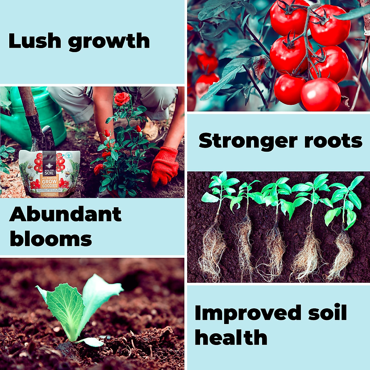 Grow Goodies All Purpose Plant Superfood : Lawn & Garden : Complete Minerals + Kelp + Yucca : 1LB : Bless Your Soil