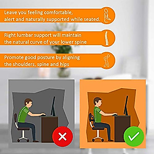 Samyoung Mesh Back Lumbar Support, Back Support Seat Cushion with Breathable Mesh for Office Chairs Car 12” x 16”