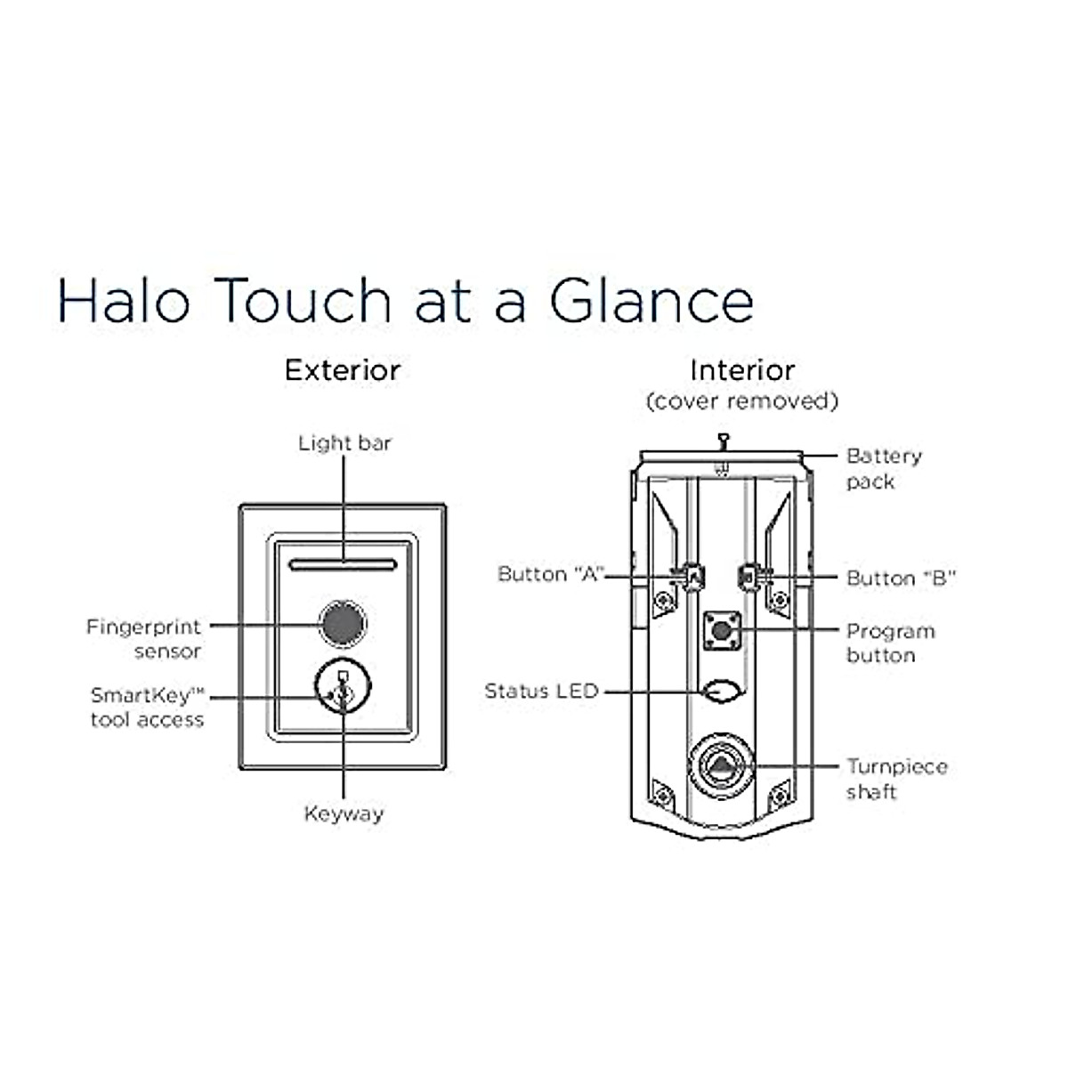 Weiser Halo Touch Fingerprint Contemporary Electronic Smart Lock WiFi, Compatible with Alexa and Google Assistant, Color: Satin Nickel, Model: 9GED30000-003