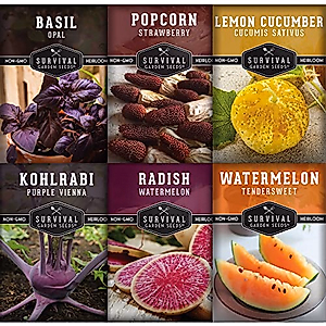 Survival Garden Seeds Exotic Vegetable Collection - Purple Vienna Kohlrabi, Lemon Cucumber, Watermelon Radishes, Opal Basil, Strawberry Popcorn, Tendersweet Orange Watermelon Non-GMO Heirloom Seeds