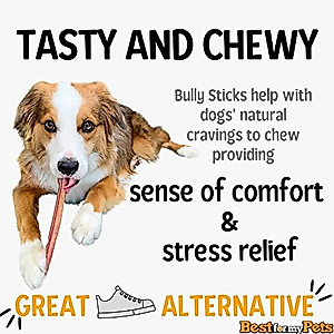 Best For My Pets Odor Free Bully Sticks, Long-Lasting Chews to Keep Puppies and Dogs Happily Busy, All-Natural Fully Digestible, 6-Inch Long, 8-Ounce Bag