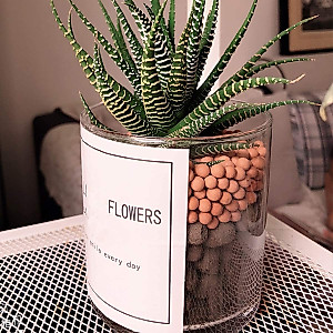 wohohoho 2.2lbs Mini Hydroponics Clay Pebbles, Upgraded 3mm-5mm Hydro Ceramsite Balls, Horticultural Top-Dressing Decorative Rocks for Aquaponics, Drainage Water, Purification, Cultivation