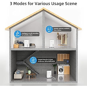HOGARLABS 2000 Sq Ft 30 Pint Dehumidifier for Home Basements Bathroom Bedroom, Dehumidifier with Drain Hose for Medium to Large Room, Intelligent Humidity Control Dehumidifier with Laundry Dry