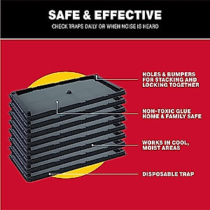 Catchmaster Rat & Mouse Glue Traps 8Pk, Large Bulk Rat Traps Indoor for Home, Pre-Scented Adhesive Plastic Tray for Inside House, Snake, Mice, & Spider Traps, Pet Safe Pest Control