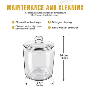 Masthome Large Glass Jar,1 Gallon Glass Jar with Lid, Airtight,Dishwasher Safe,Wide Mouth Glass Storage Canister for Pasta,Flour,Nuts,Cookies,& More-Send 15 Food Storage Bags