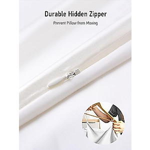 Lacette Silk Pillowcase for Hair and Skin 2 Pack, 22Momme 100% Mulberry Silk & Natural Wood Pulp Fiber Grade 6A Dual-Sided Silk Pillow Cases, Silk Pillow Cover with Zipper (Standard 20"x26",White)