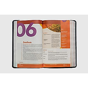 NLT Student Life Application Study Bible, Filament Enabled (LeatherLike, Charcoal Gray Striped, Red Letter)