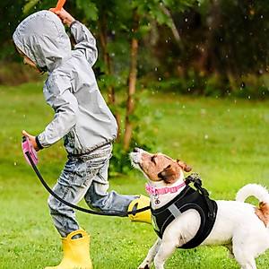 6 Pcs Small Dog Harness with Retractable Leash and Bowknot Pet Collar Set Soft Mesh Padded Vest Harness 10 FT Pet Walking Leash with Anti Slip Handle Adjustable Puppy Collar for Dog Cat (M)