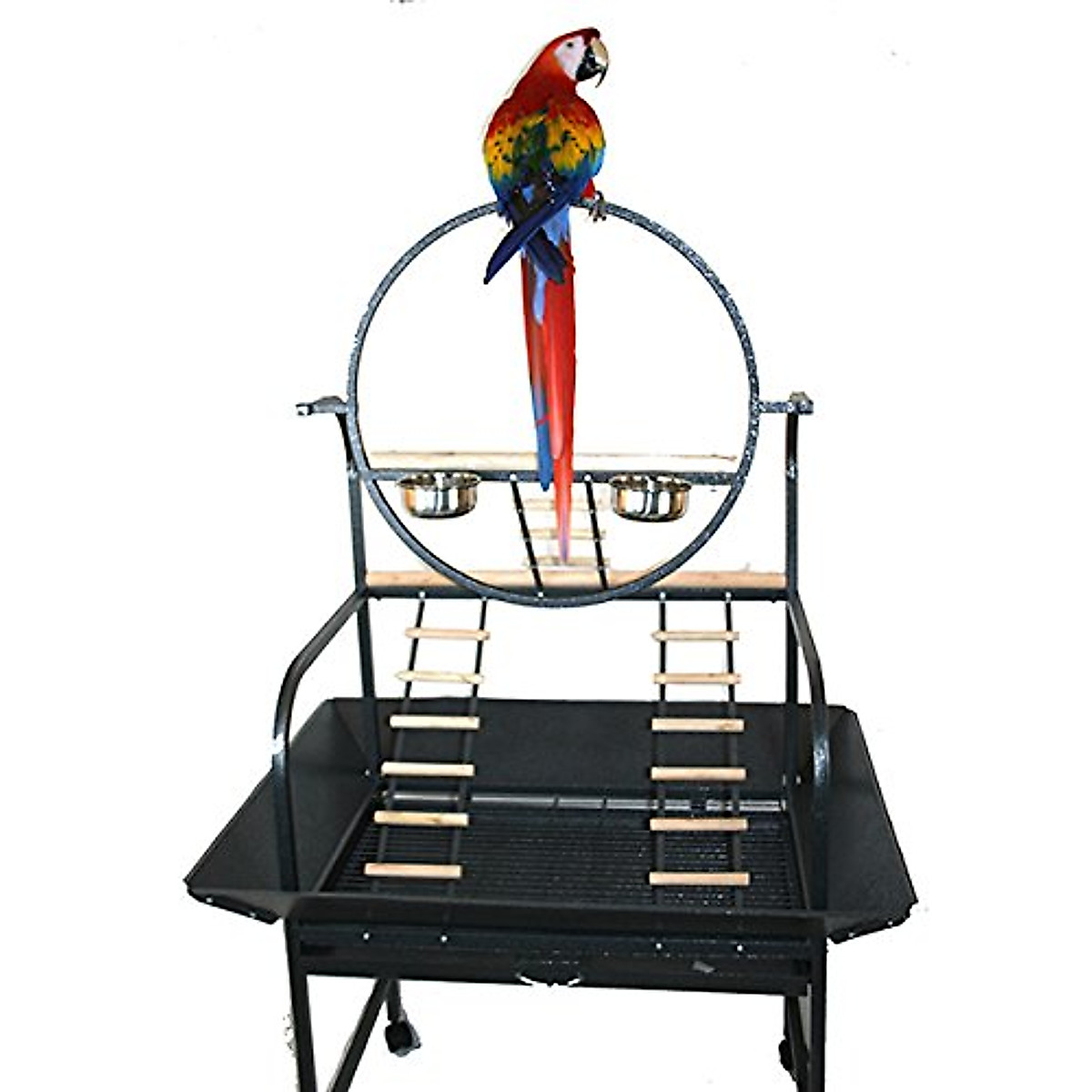 Extra Large O Wrought Iron Stand for Medium or Large Parrot Amazon Cockatoos Macaws Play Gym Ground Seed Skirts(Black Vein)