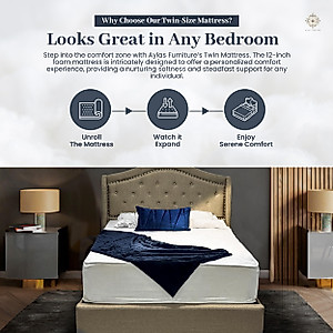 Twin Size Mattress - 10 Inch Cool High Density Comfort Foam Mattress with Breathable Organic Cotton Cover - Medium Firm - Rolled in a Box - Oliver & Smith