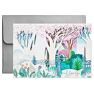 Hallmark Paper Wonder Displayable Pop Up Anniversary Card (Paris) (899RZW1009)