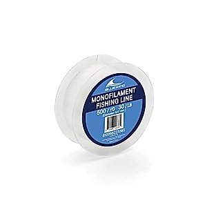 BLUEWING Monofilament Fishing Line Clear Invisible Thin Diameter Fishing String Mono Fishing Line, Dia.0.47mm*500YD*30LB
