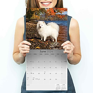 2023 2024 American Eskimo Dog Calendar - Dog Breed Monthly Wall Calendar - 12 x 24 Open - Thick No-Bleed Paper - Giftable - Academic Teacher's Planner Calendar Organizing & Planning - Made in USA