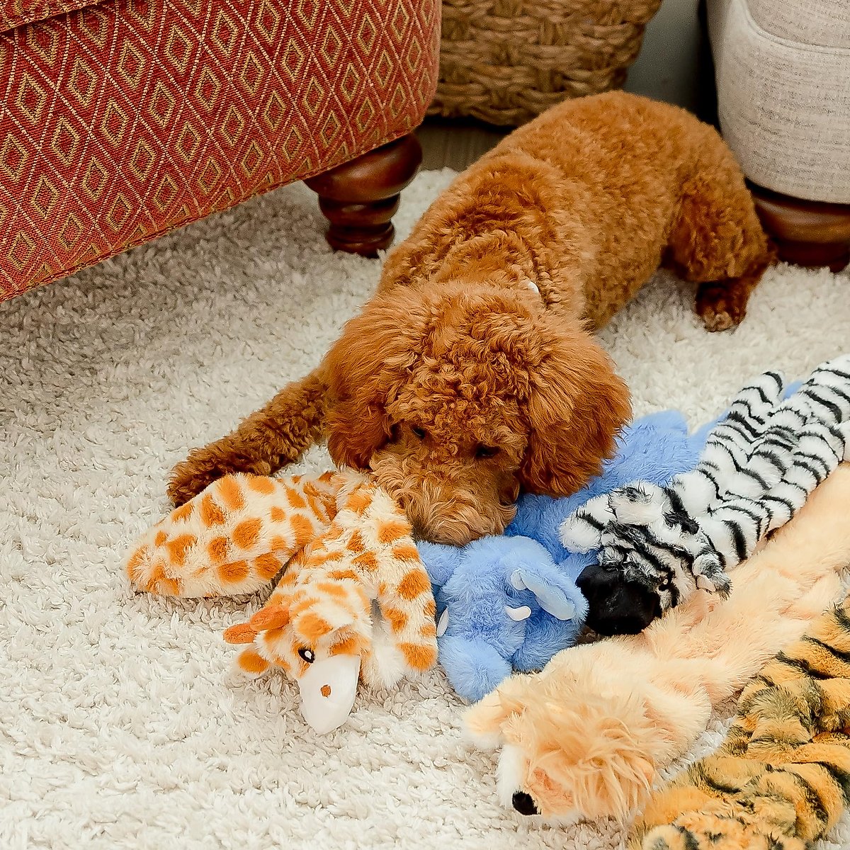 Squeaky No Stuffing Dog Toy Set – New & Improved Edition Plush Crinkle Dog Toys for Small, Medium & Large Breeds – Soft Tough Stuffless Puppy Chew Squeak Animal Supports Pet Health & Well Being 5 Pack
