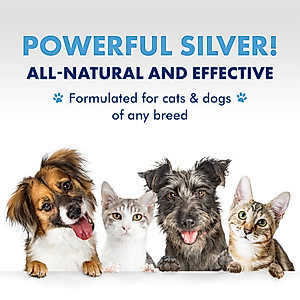 PetSilver Immune Support - Chelated Silver Formula - Promotes Respiratory Health in Cats & Dogs - Sinus & Kennel Cough Treatment - Natural Antibiotic - Allergy Relief - Easy-to-Use Dropper - 2 fl oz