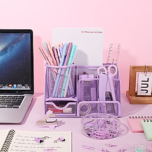 Purple Mesh Desk Organizer and Accessories, Purple Gift Purple Office Supplies 7 Compartments Desk Organizer with Stapler,Tape Dispenser,1000 Staples,Pen Holder,Staple Remover,Clips,Ruler,Scissors