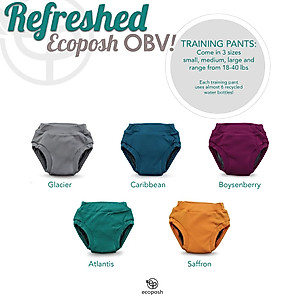 Kanga Care Ecoposh OBV Reusable Pull Up Toddler Underwear Potty Training Pants | Boysenberry Medium 2T/3T