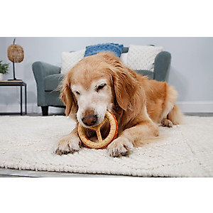 Hartz Chew ‘n Clean Chew Toy and Treat in One Chicken Flavored Ring Dog Toy, Medium