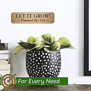 Name Plate, Custom Office Door Signs, Personalized Plaque for Wall, Address Mailbox, Name Sign - 2x8 Inch, 18 Colors - Made by My Sign Center, USA (Classic)