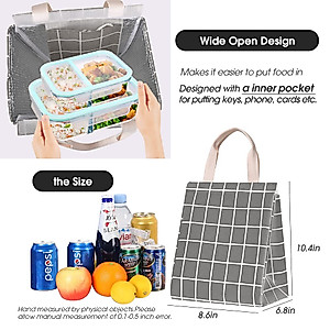 HOMESPON Reusable Lunch Bag Insulated Lunch Box Canvas Fabric with Aluminum Foil, Lunch Tote Handbag for Women,Men,School, Office (Grey Plaid)