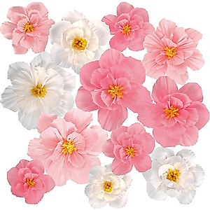 24Pcs Tissue Paper Flowers Crepe Paper Flowers Decorations Large Pink Colorful Paper Flowers Handcrafted for Wedding Party Baby Bridal Shower Birthday Backdrop Classroom Nursery Craft Wall Decorations