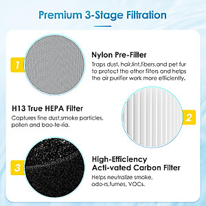 RP-AP068 Replacement Filter For RENPHO RP-AP068 Air Purifiers, 3-in-1 H13 Grade Ture Hepa Filters Compatible with RENPHO RP-AP068, 2 Pack