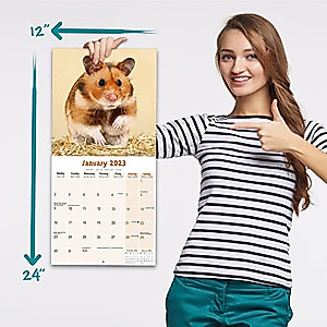 2023 Hamsters Wall Calendar