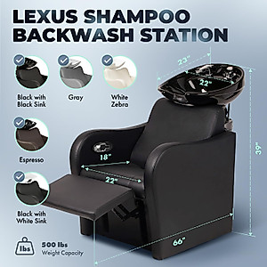 Buy-Rite Lexus Backwash Unit - Salon Shampoo Chair & Tilting Porcelain Shampoo Bowl, European Style Single Handle Faucet, Extra Wide Seat and Kick-Out Leg Rest, TS-8018B (Black)