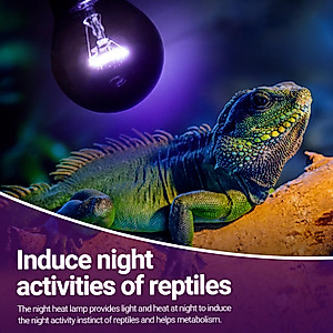 REPTIZOO 2PCS Reptile Heat Lamp, 150W Night Heat Lamp Moonlight Bulb Purple Infrared Heating Lamp Simulate Natural Moonlight Night Heat Bulb for Reptile Amphibian