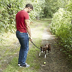 Franklin Pet Supply Tennis Ball Launcher for Dogs - Dog Ball + Tennis Ball Thrower for Fetch - Perfect Toy for Large + Small Dogs