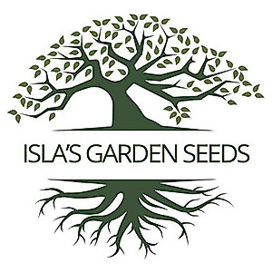 "Sugar Pie" Pumpkin Seeds for Planting, 20+ Heirloom Seeds Per Packet, (Isla's Garden Seeds), Non GMO Seeds, Non GMO Seeds, Botanical Name: Cucurbita Pepo, This Variety is for Making Pumpkin Pie!