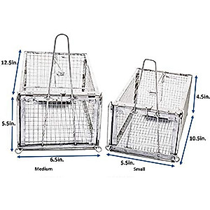 AB Traps Quality Live Animal Humane Trap Catch and Release Rats Mouse Mice Rodents Cage - Voles Squirrel and Similar Sized Pets Safe and Effective | Size Small