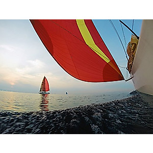 GoPro Suction Cup Mount (Official), Black