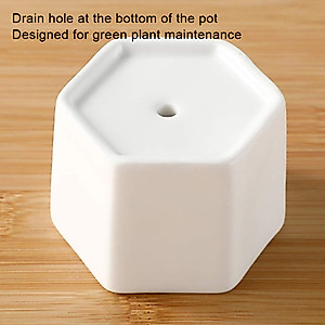 Ochine 3 Inches Ceramic Cactus Flower Pot with Bamboo Tray Small Succulent Planter Modern Indoor Outdoor Plant Pots Set Home Planters Container Bonsai Pots with Drainage Hole