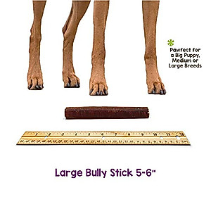 Nature Gnaws Bully Sticks for Dogs - Premium Natural Beef Dental Bones - Long Lasting Dog Chew Treats for Aggressive Chewers - Rawhide Free - 5-6 Inch