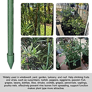 Garden Stakes 60 Inches Plastic Coated Hollow Steel Plant Stakes, Tomato Stakes, Pack of 25