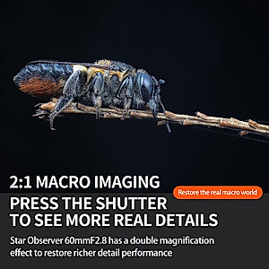 Brightin Star 60mm F2.8 2X Macro Magnification Manual Focus Mirrorless Camera Lens, Fit for Panasonic LUMIX Olympus Micro4/3 G7, G85, GX9, G7KS, EPM1/2, EM1, E-P1/P2/P3/P5, PL 1/2/3/5/6, G2/3/5/6