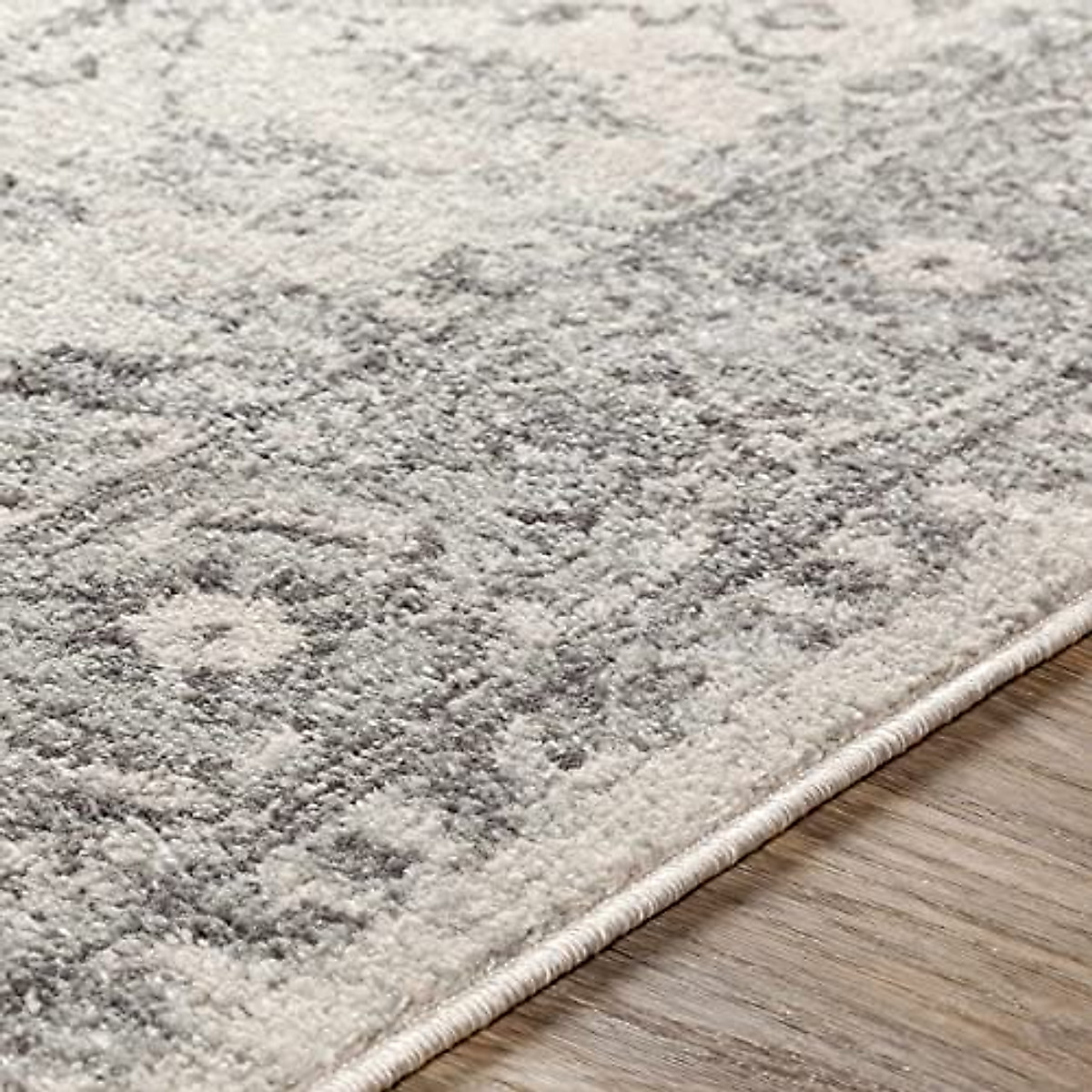 Hauteloom Rockfall Hallway, Kitchen Runner Rug - Traditional - Gray, Beige - 2'7" x 7'3"